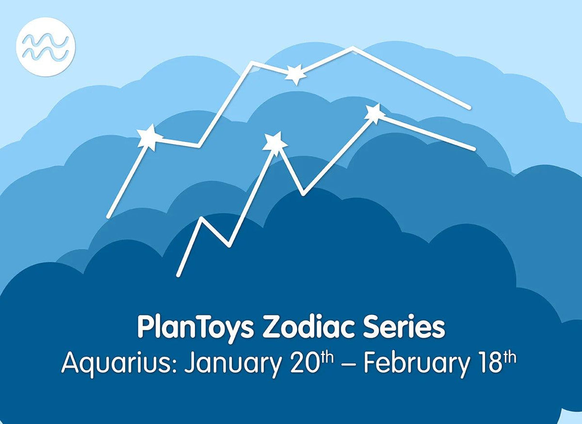 Encouraging a Young Aquarius – PlanToys USA