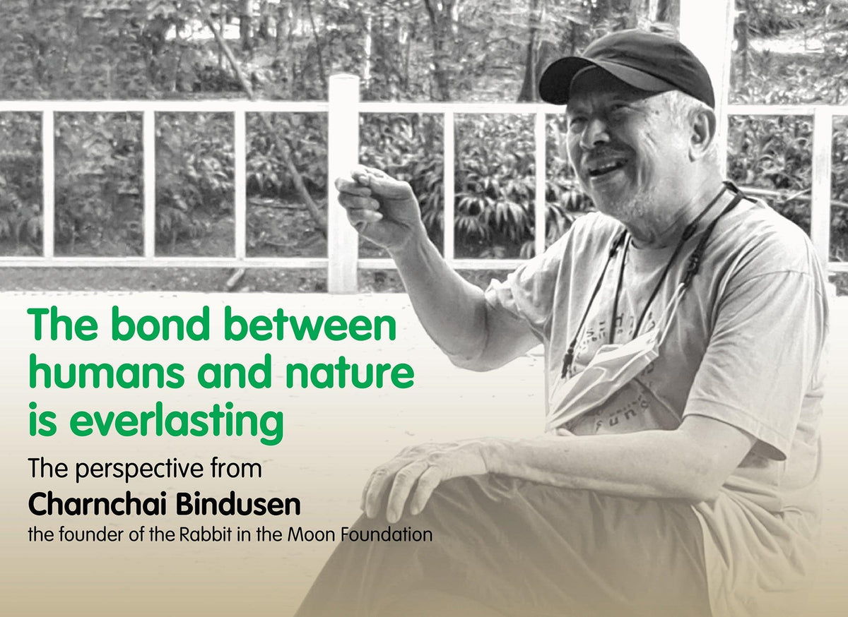 Humans and nature: an inseparable relationship – PlanToys USA